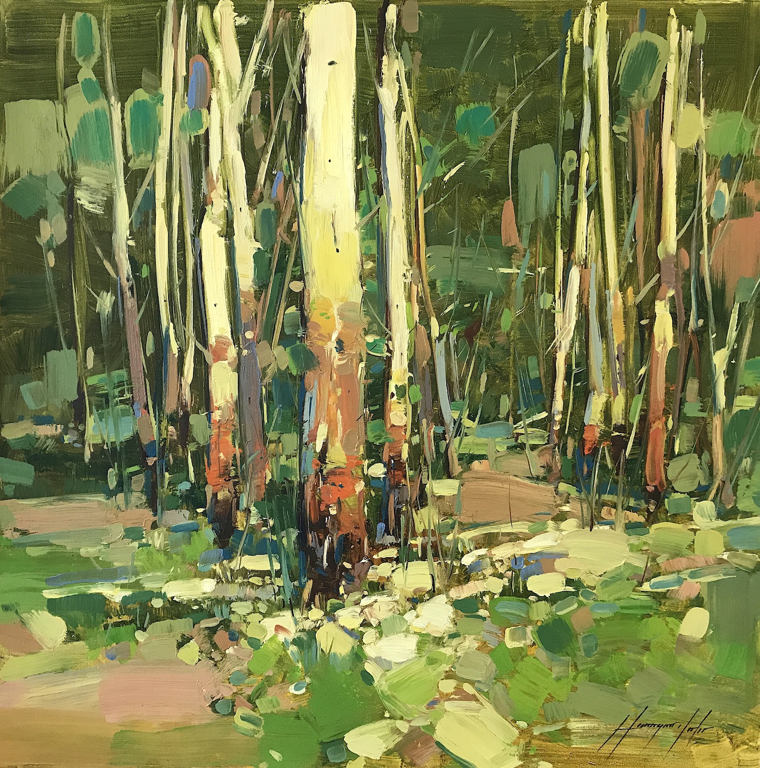 Birches - Vahe Yeremyan’s Personal Gallery